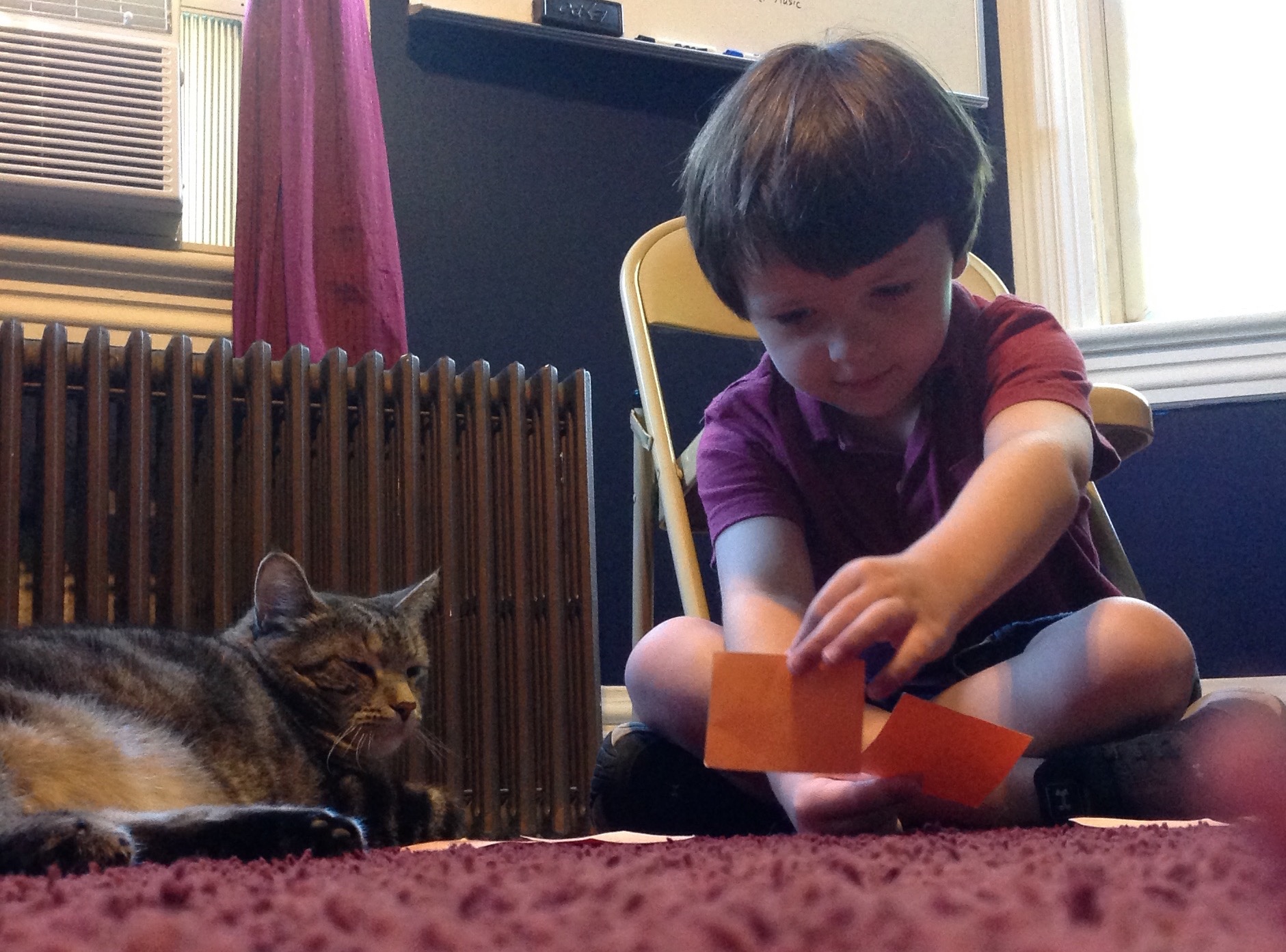 Musical Cats | Miriam Troxler