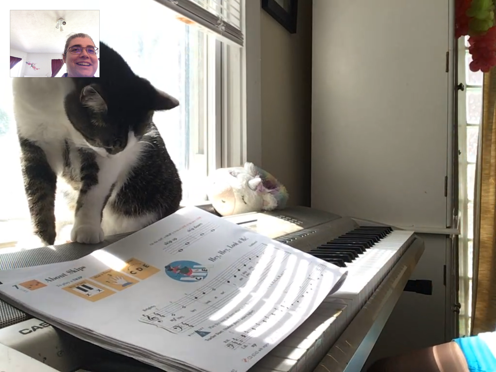 Musical Cats | Miriam Troxler